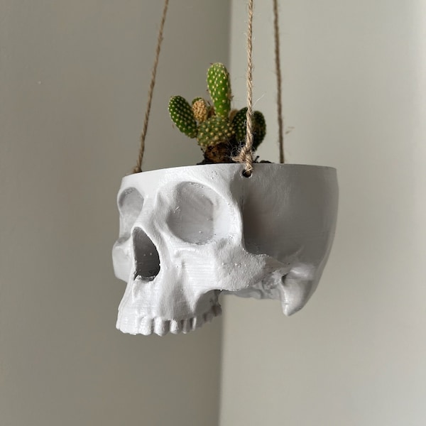 Skull Pot - Etsy