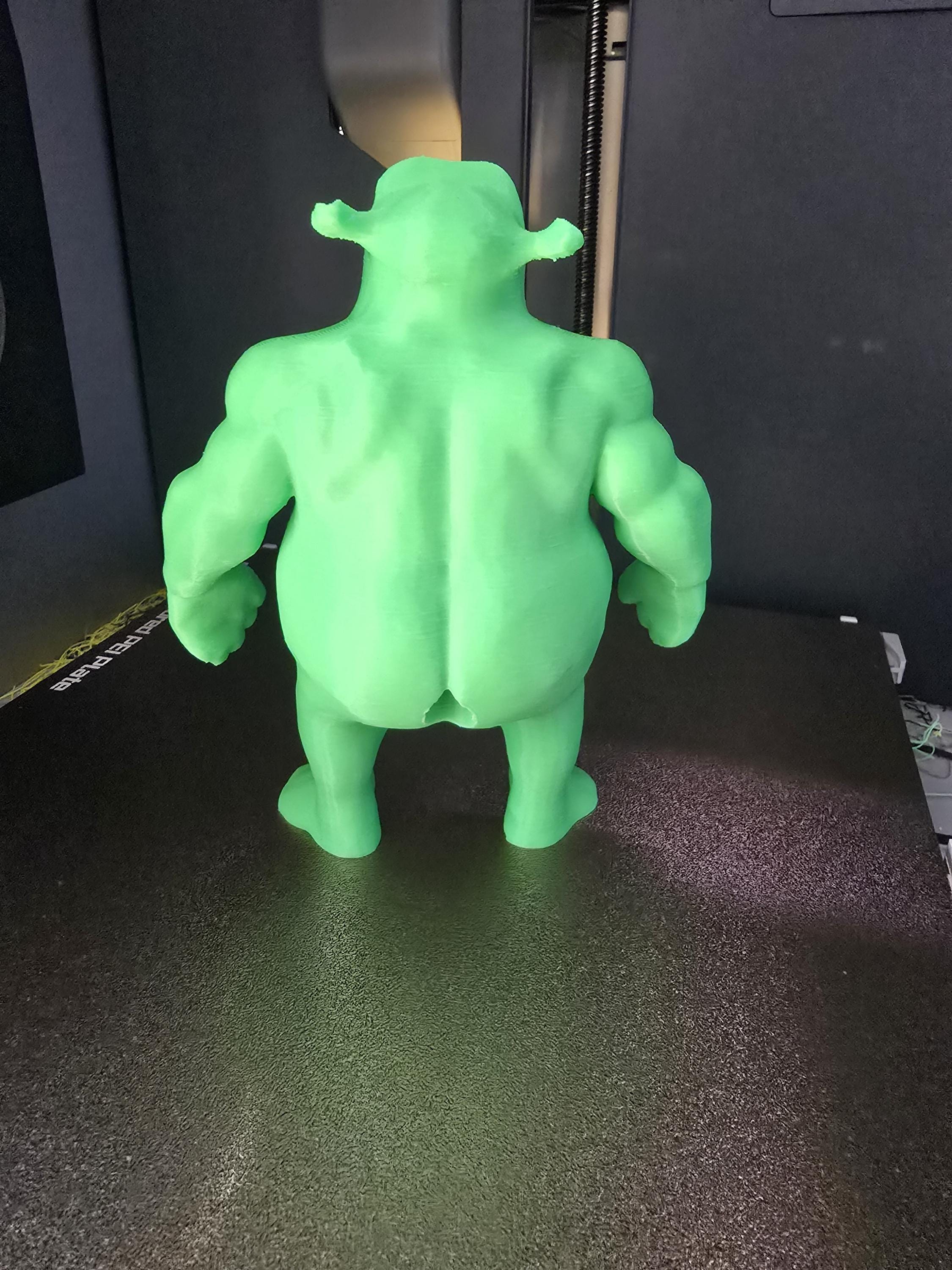 3d Printed Shrek Toothpaste Dispenser - Etsy