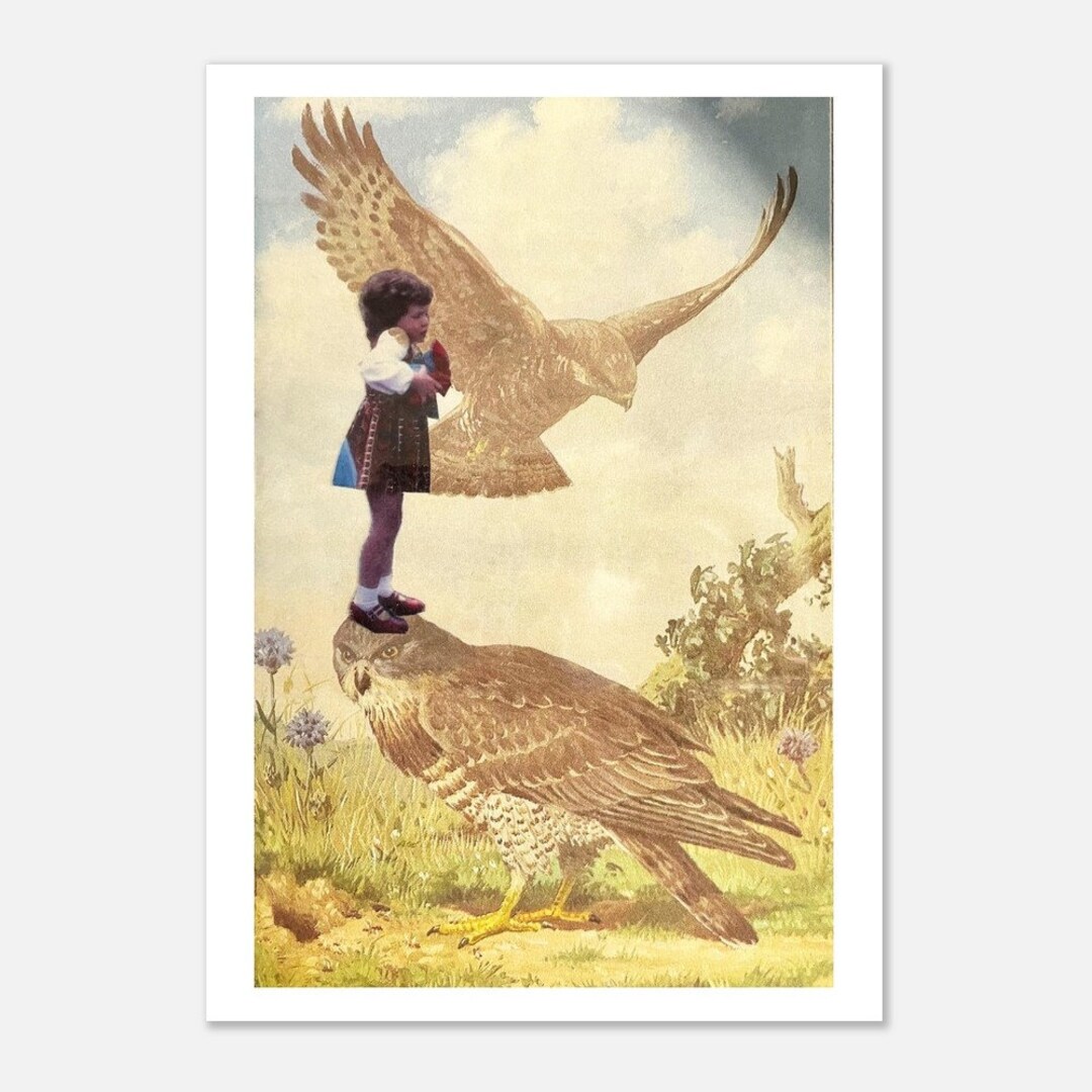 Print: Birds of Play Original Collage Art by Yorkshire Artist - Etsy