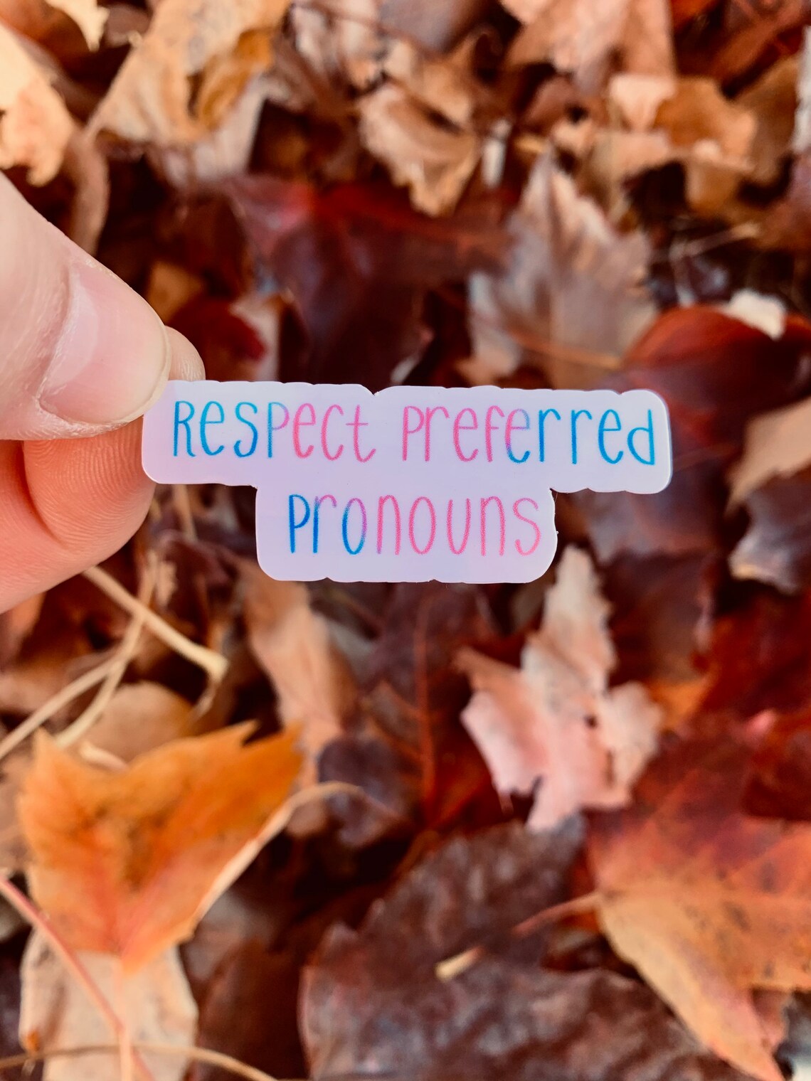 Respect Preferred Pronouns Sticker Trans Sticker Trans | Etsy