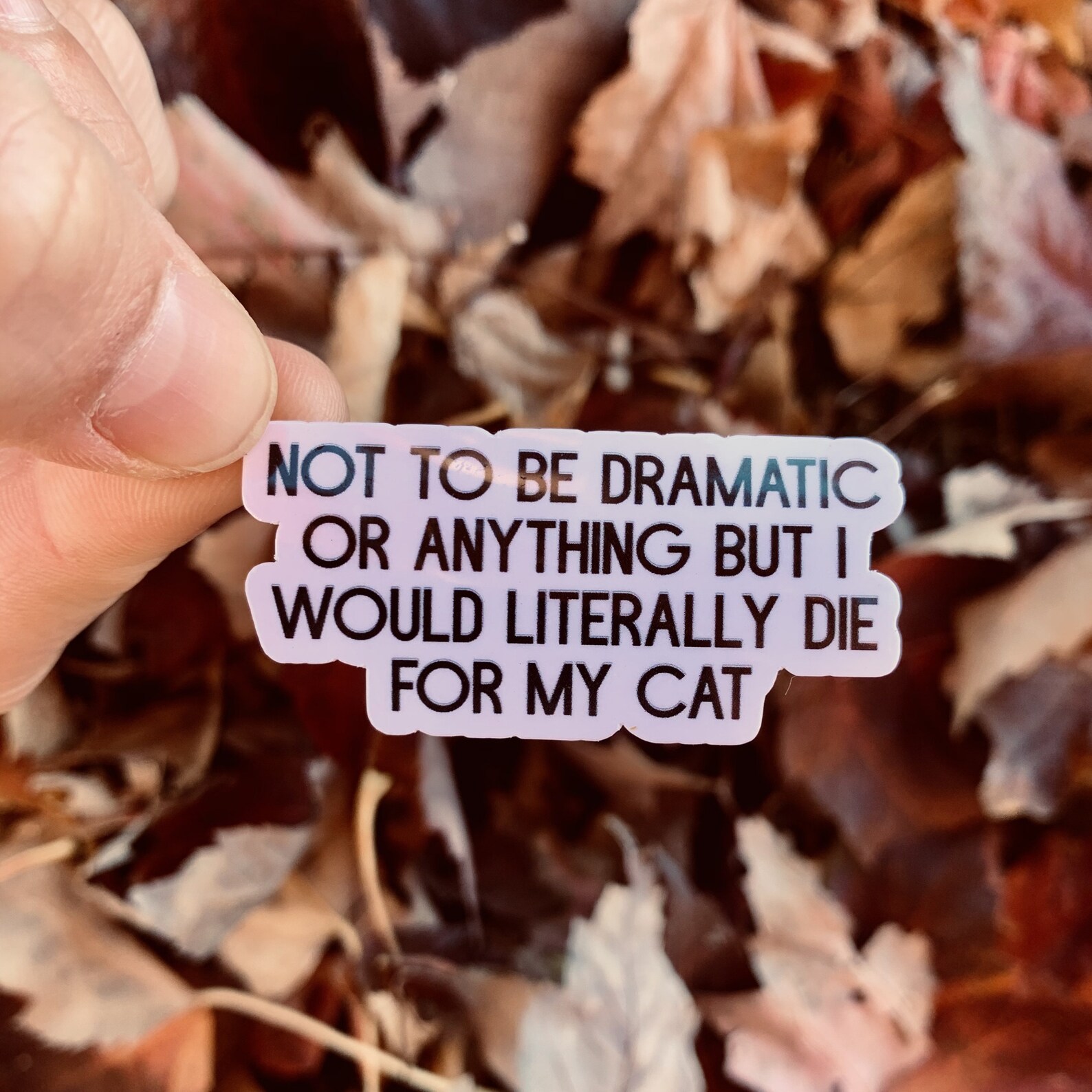 Not to Be Dramatic or Anything Sticker Cat Sticker Cat | Etsy