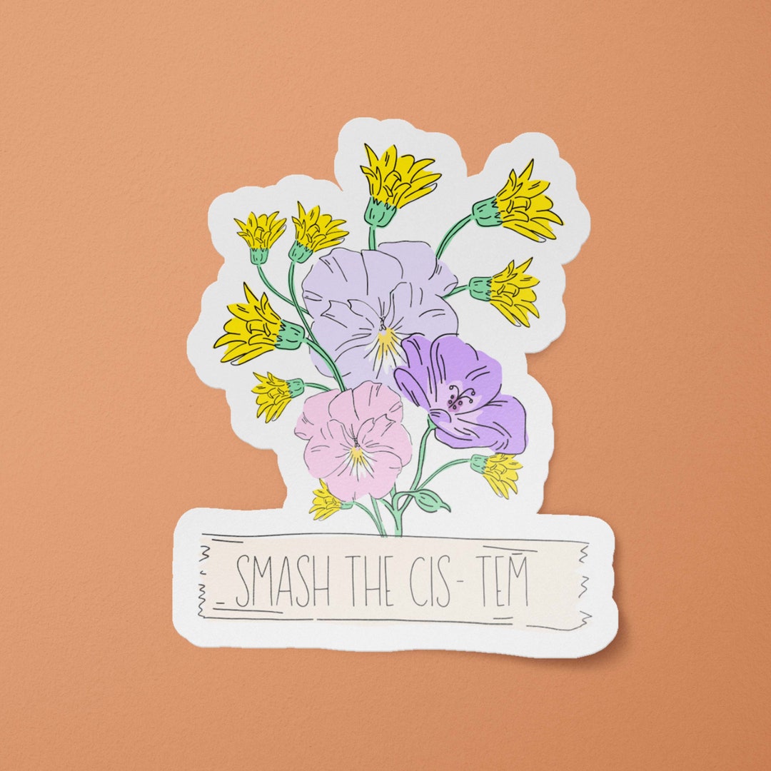 Smash the Cis-tem Sticker | LGBTQ Sticker | Queer Stickers | Trans ...