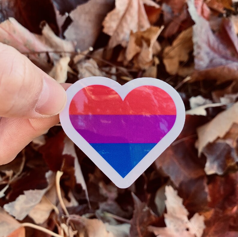 Bisexual Pride Sticker Bisexual Sticker Bisexual Flag | Etsy