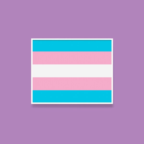 Transgender Poster - Etsy