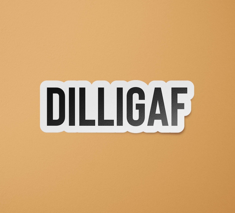 DILLIGAF Sticker IDGAF Vinyl Funny Bumper Sticker Tik - Etsy