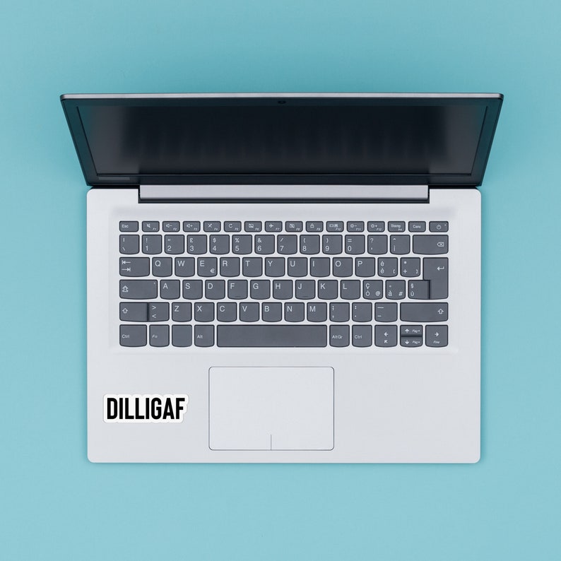 DILLIGAF Sticker IDGAF Vinyl Funny Bumper Sticker Tik - Etsy