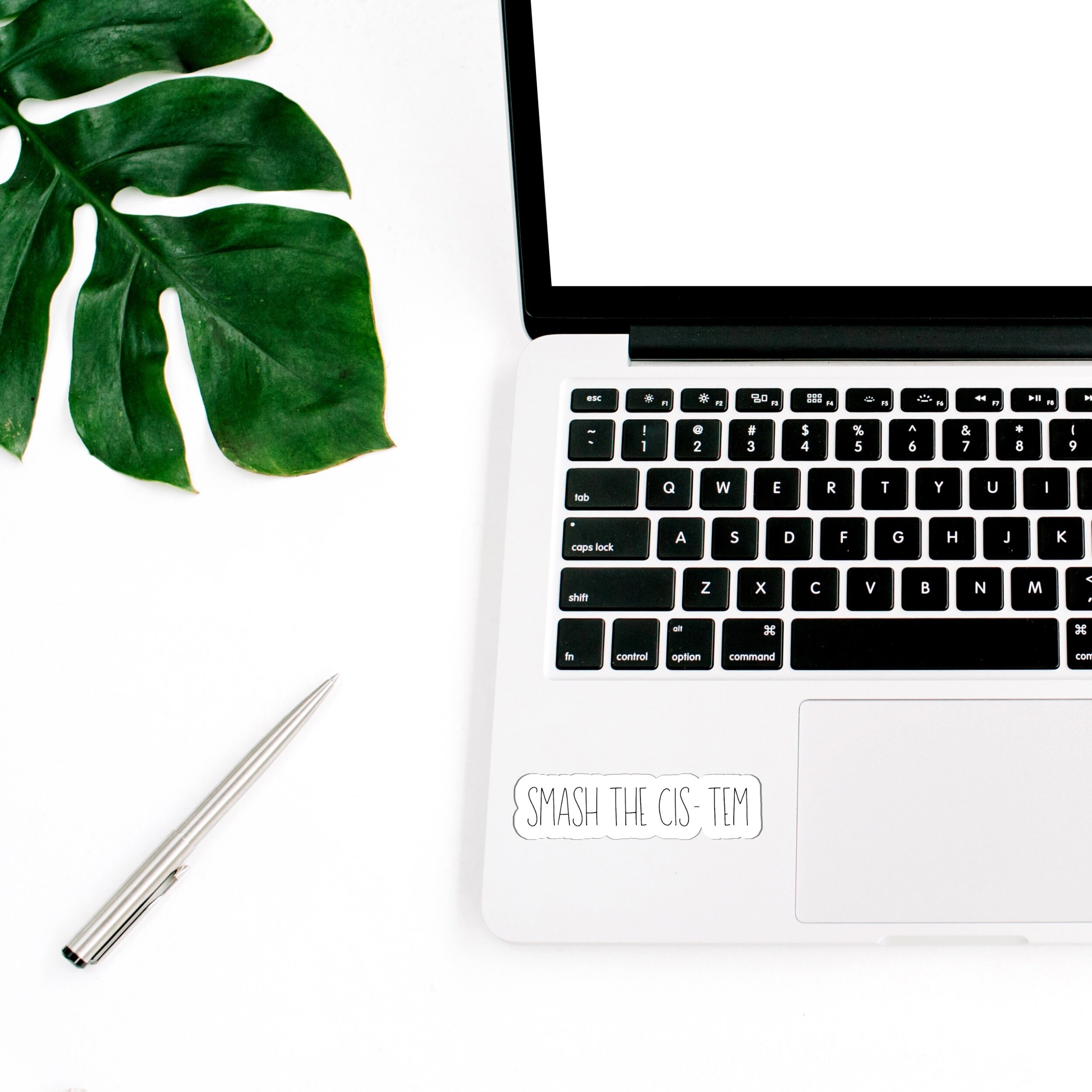 Smash the Cis-Tem Sticker LGBTQ Sticker BLM Latein | Etsy