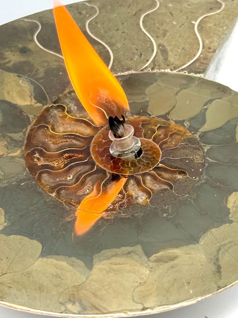 Ammonite Fossil Rock Oil Lamp, Unique Home Decor - Etsy