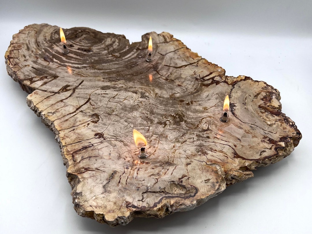 Stunning Extra Large Petrified Wood Oil Candle Lamp. Indonesian Stone 4 ...