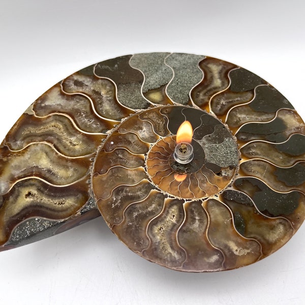 Unique Lamp - Etsy