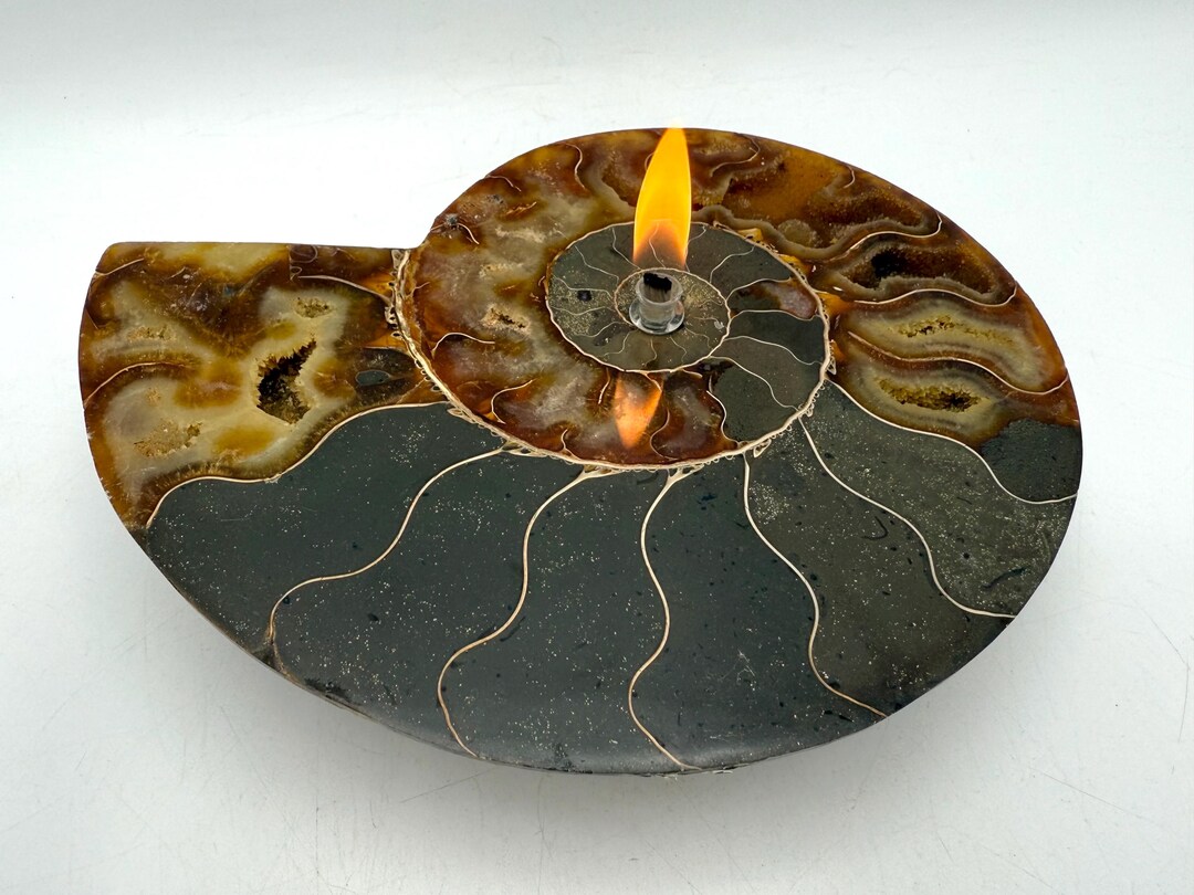 Large 7” Ammonite Fossil Rock Oil Candle Lamp. A Unique Home Decor Gift ...