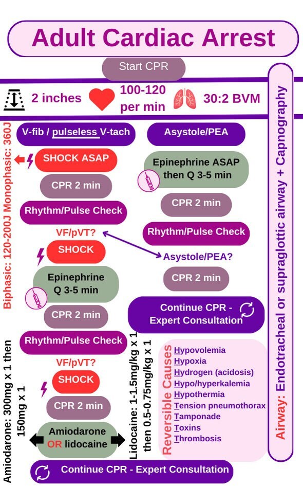 Digital ACLS Badge Buddy Updated Digital File PDF for DIY Printing and ...