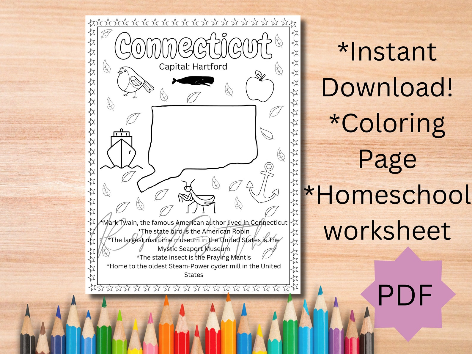 Connecticut Coloring Page, State Coloring Page, Homeschool Printables ...