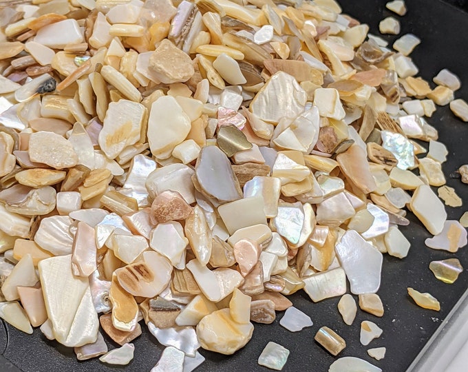 Crushed Shells With Iridescent Quality Great for Art, Crafting, Vase ...