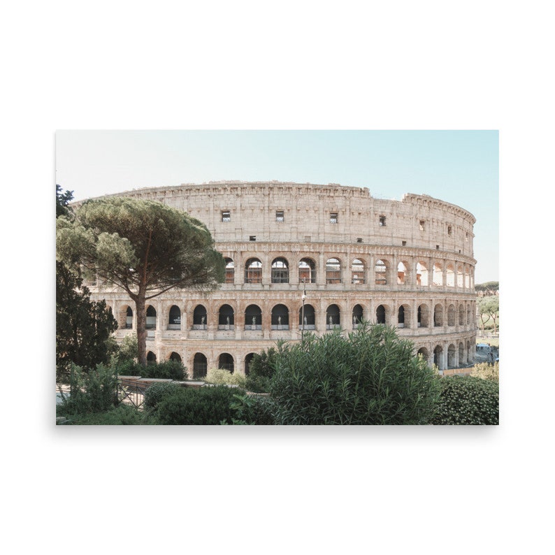 Roman Colosseum With Umbrella Pine Trees Photography - Rome, Italy - Etsy