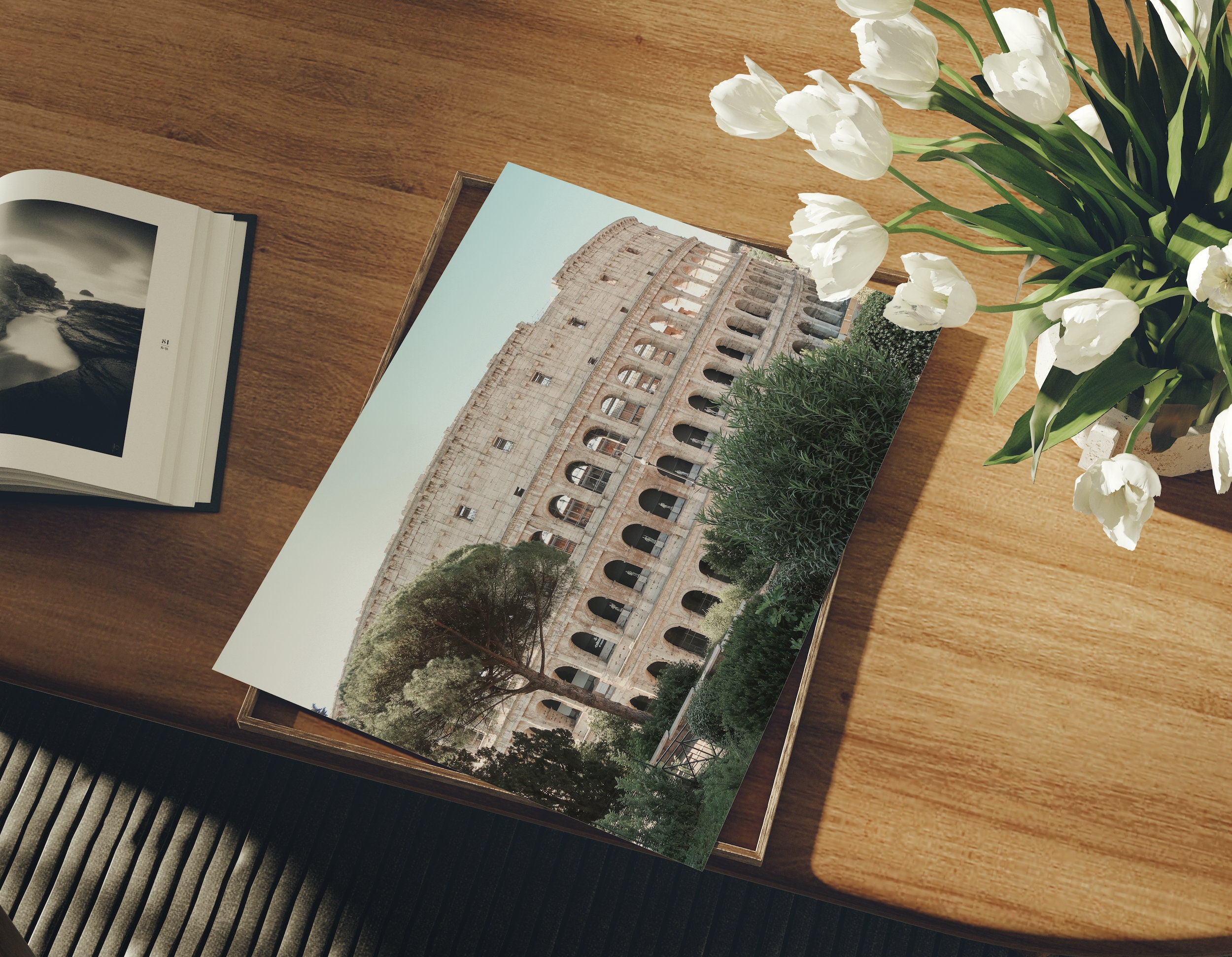 Roman Colosseum With Umbrella Pine Trees Photography - Rome, Italy - Etsy