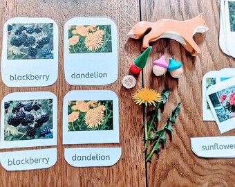 Foraging Cards - Etsy