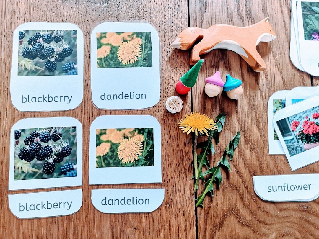 Edible Plants - Montessori Learning Cards for Home School, Foraging ...