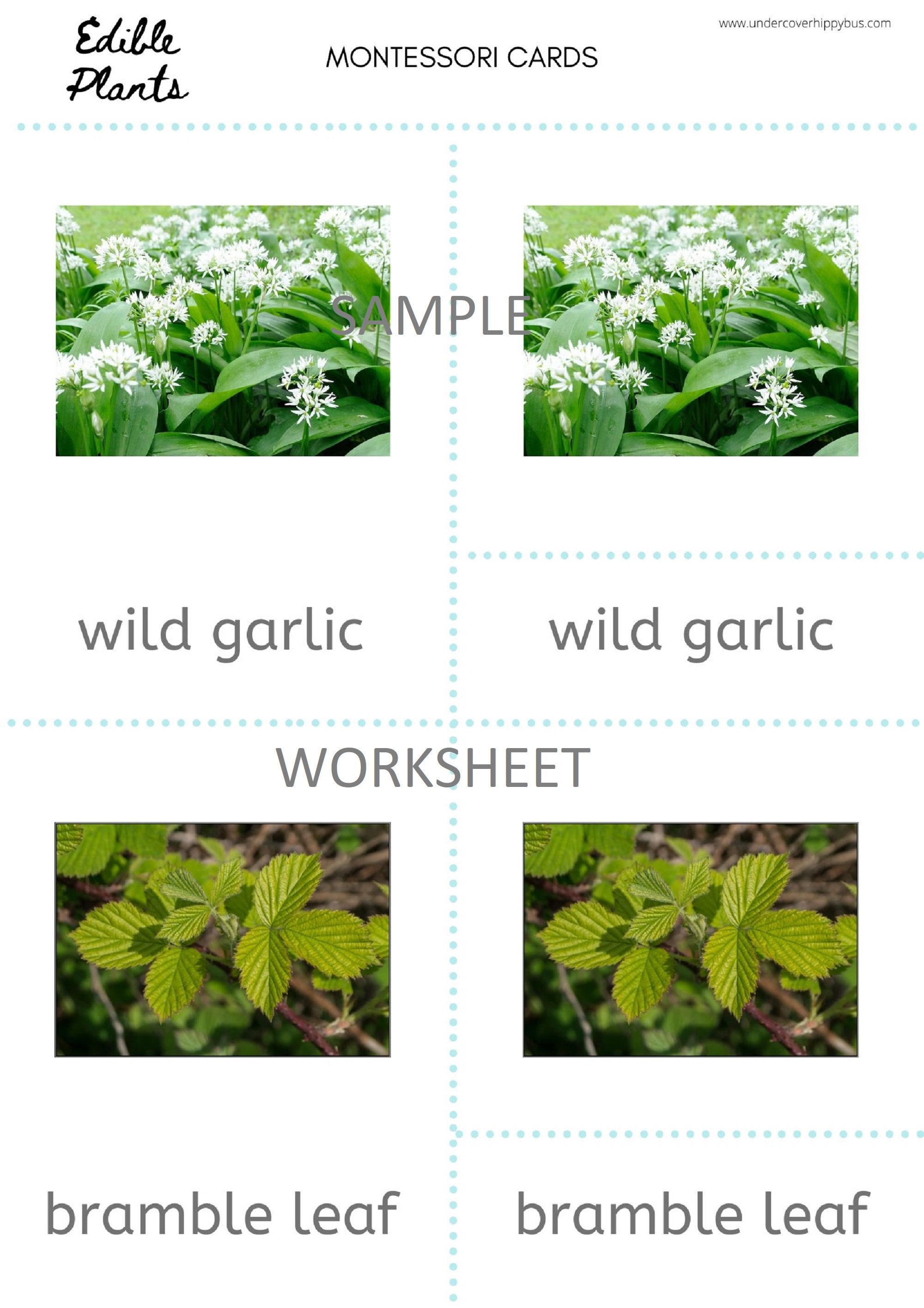 Edible Plants Montessori Learning Cards for Home School | Etsy