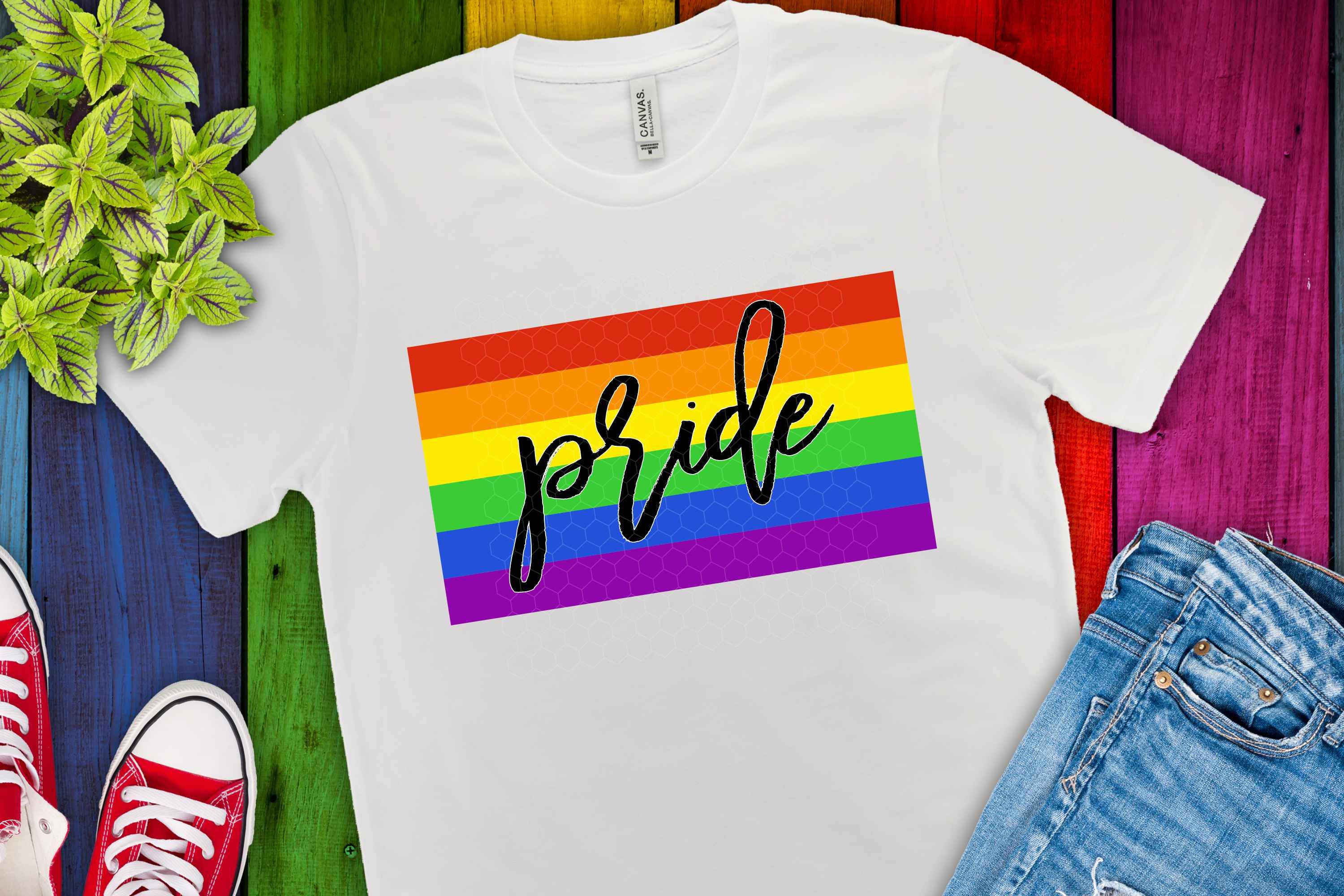 The Pride Flags Bundle 30 Designs SVG PNG Digital Cut - Etsy