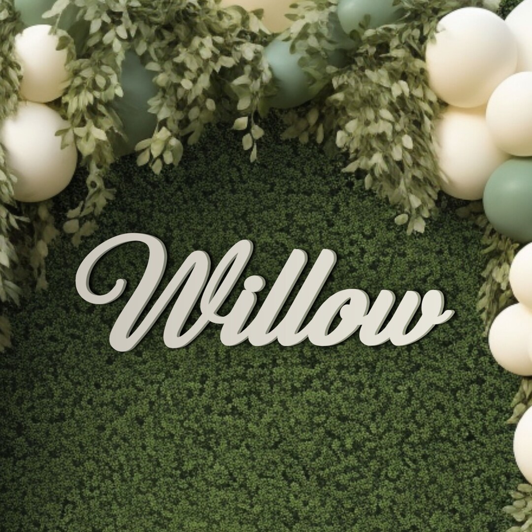 Birthday Backdrop Name, Party Photo Zone Sign, Custom Name Sign for ...