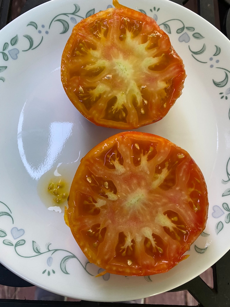 Thorburn Terracotta Tomatoes Seeds - Etsy