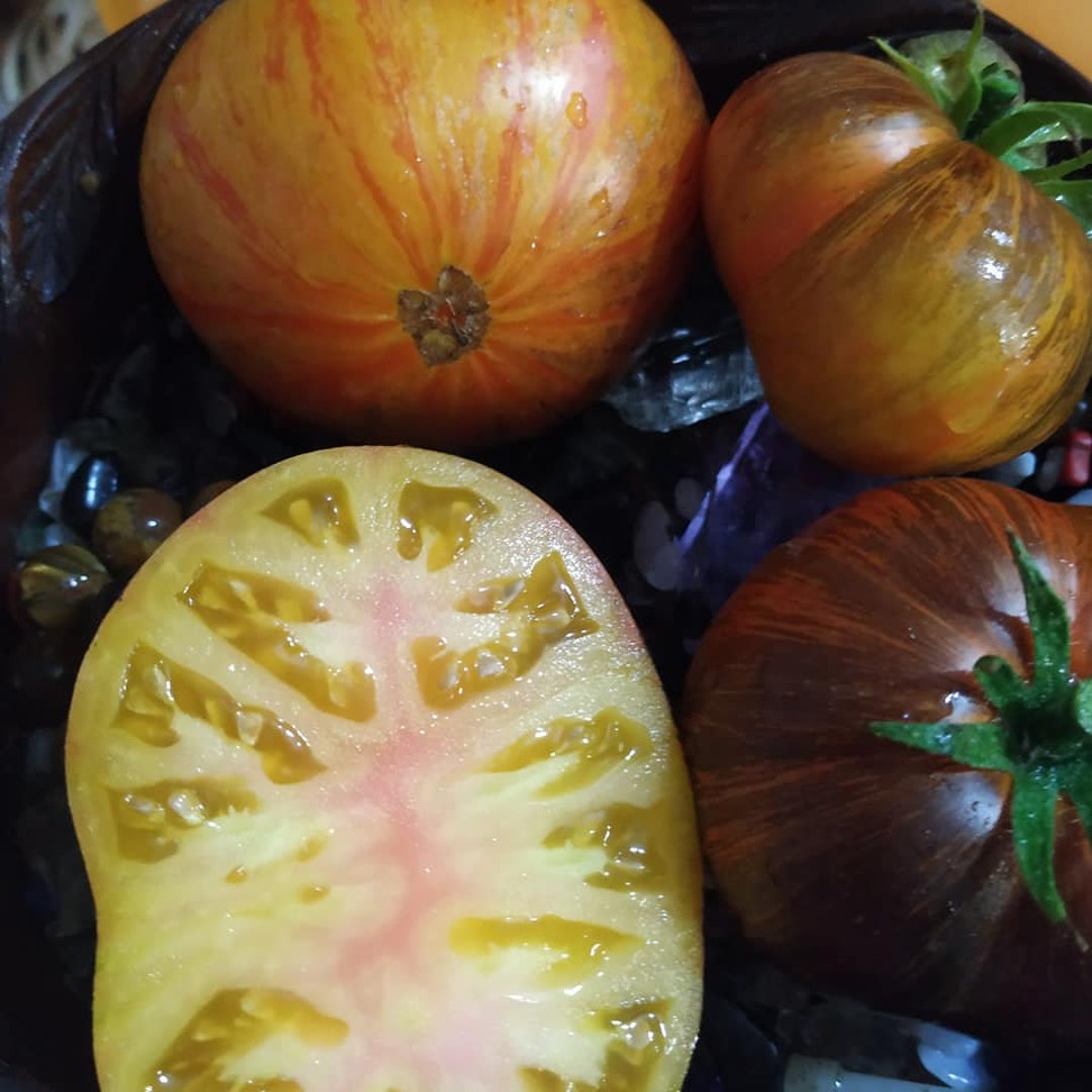 Alice's Dream Tomato Seeds - Etsy