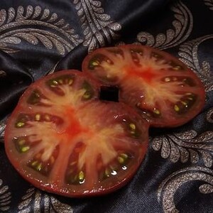Jarson 20 Tomato Seeds, Poland - Etsy