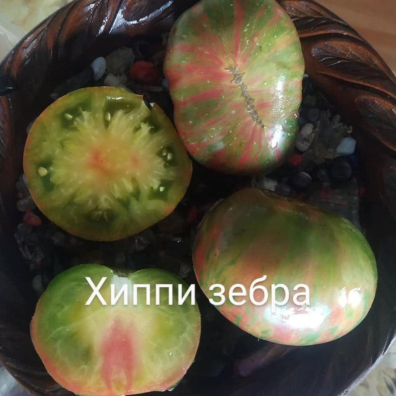 Hippie Zebra Tomato Seeds - Etsy