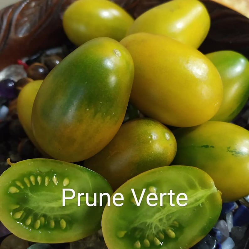 Prune Verte Tomato Seeds, Franch Variety - Etsy