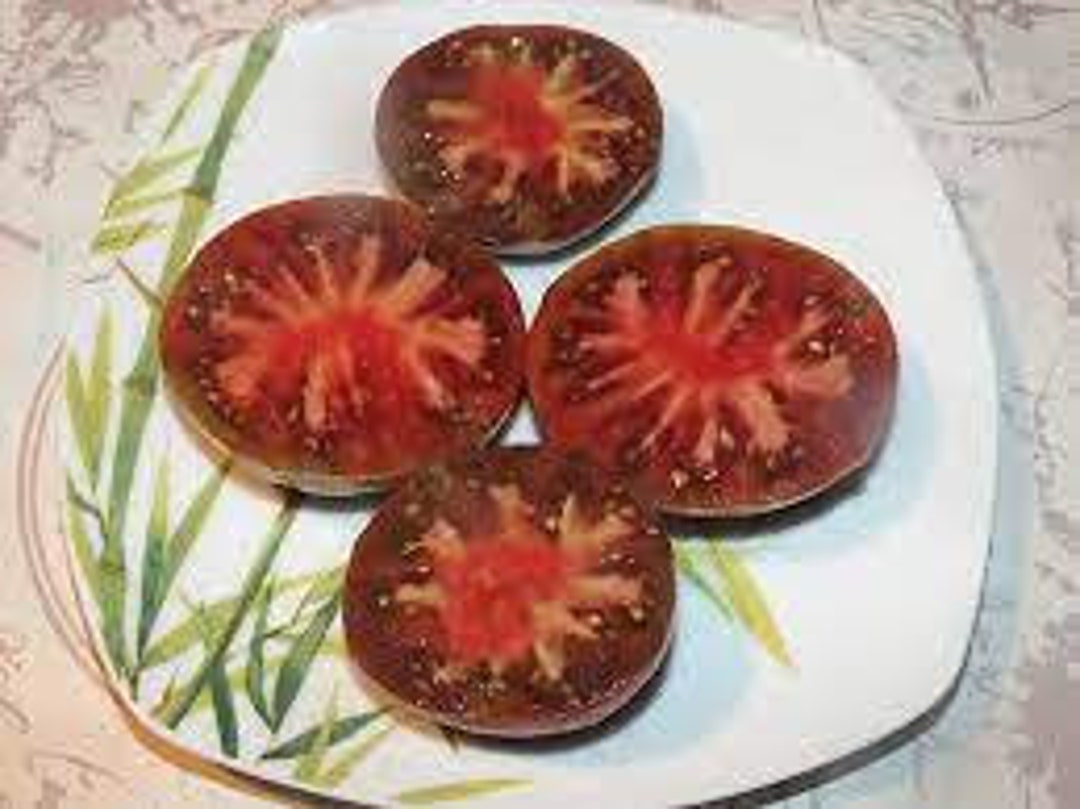 Kozula 125 Tomato Seeds - Etsy