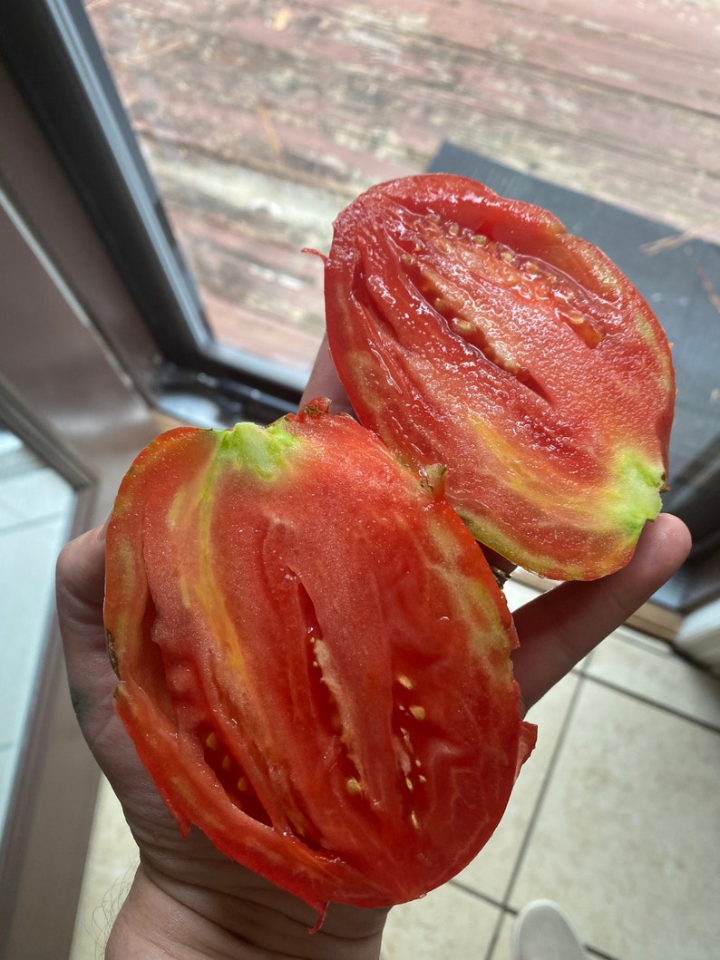 Hungarian Heart Tomato Seeds - Etsy