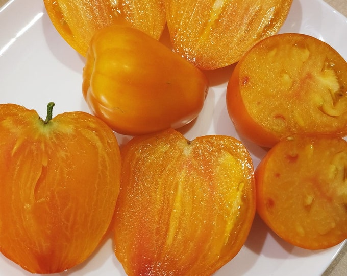 Amber Baron, Tomato Seeds From Kazakhstan Variety - Etsy
