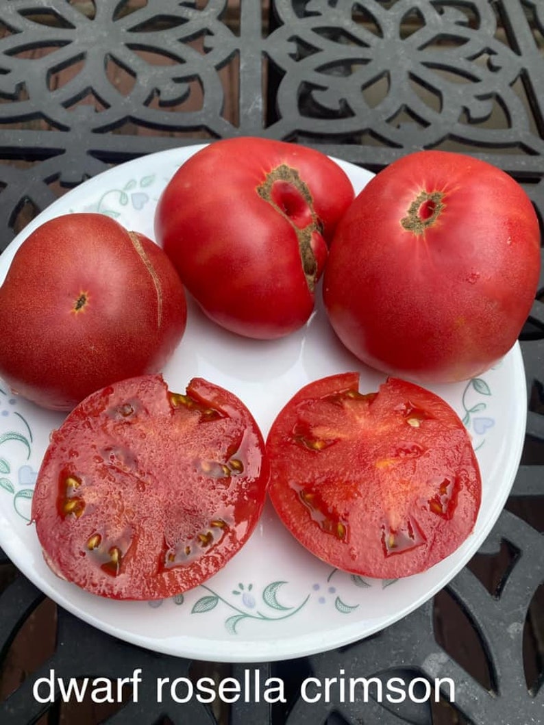Dwarf Rosella Crimson Tomato Seeds - Etsy