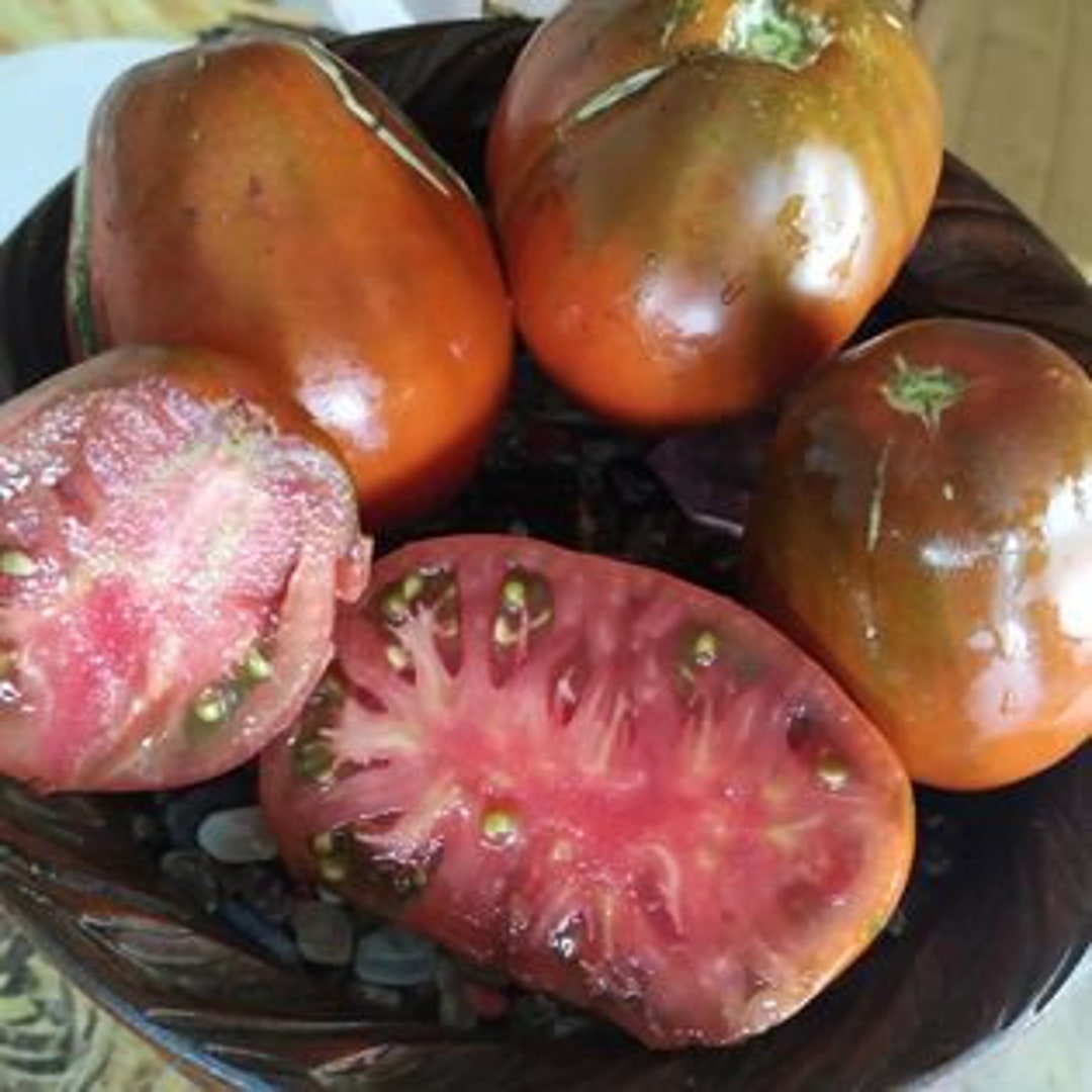 Jarson 18/2, Polish Tomato Seeds - Etsy