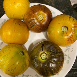 Ussuri Tiger Tomato Seeds - Etsy