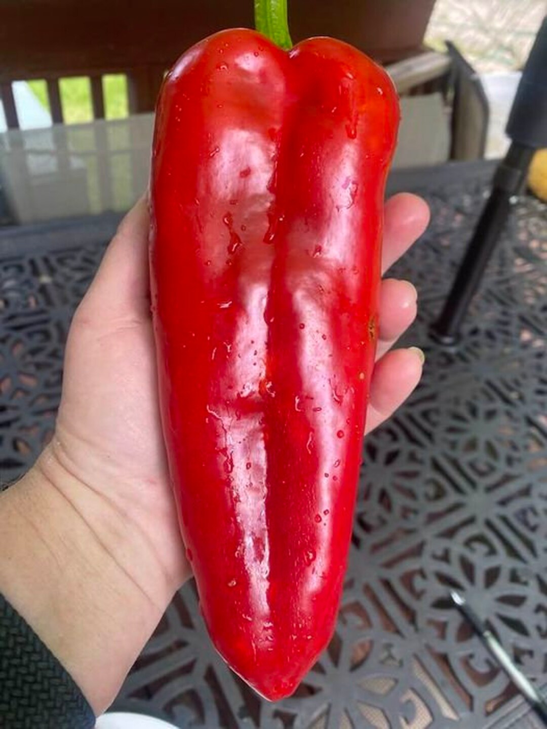 Corni Di Torro Sweet Peppers Seeds - Etsy