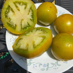 Dwarf Parfait Tomato Seeds - Etsy