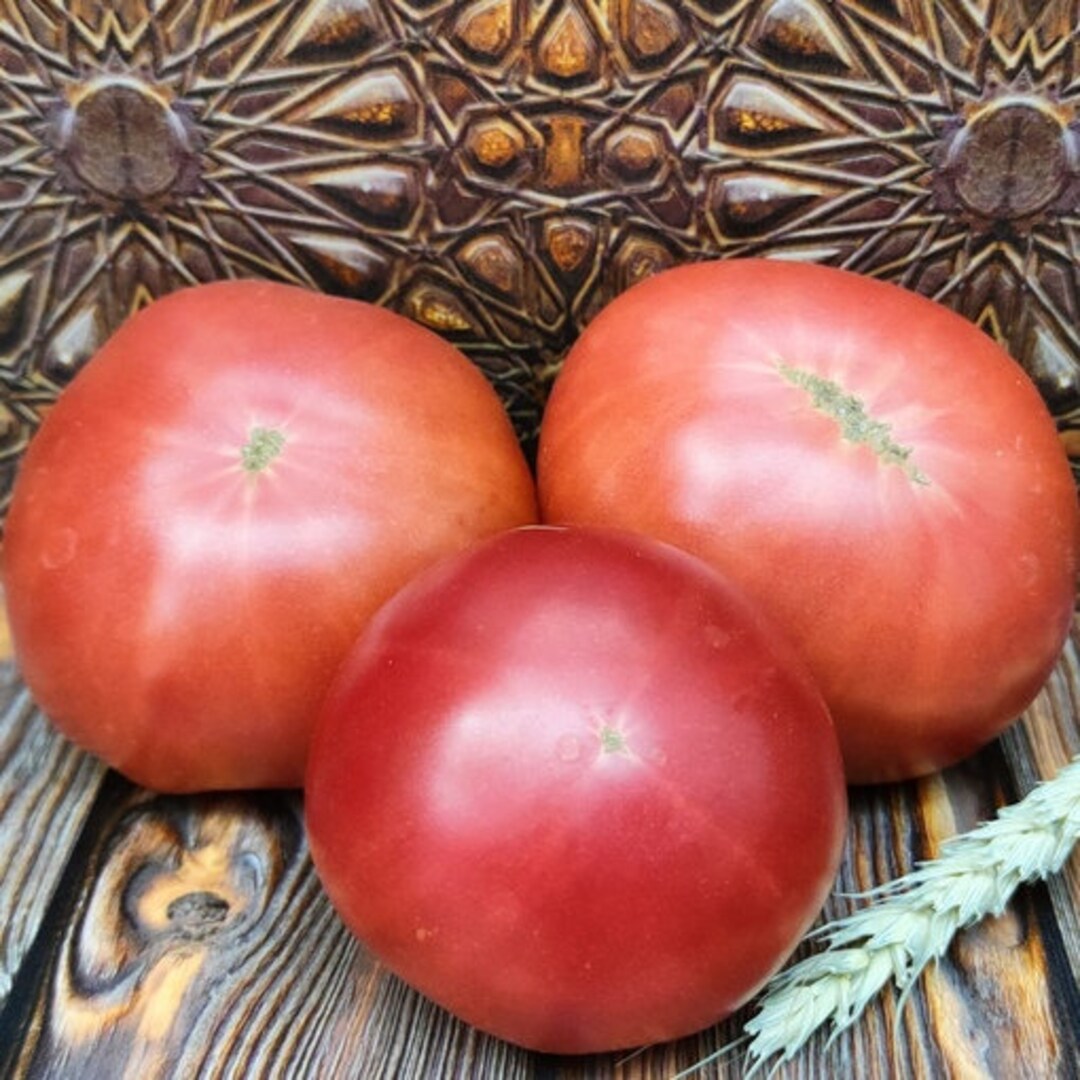 Unt De Bucovina, Romanian Heirloom Tomato Seeds - Etsy