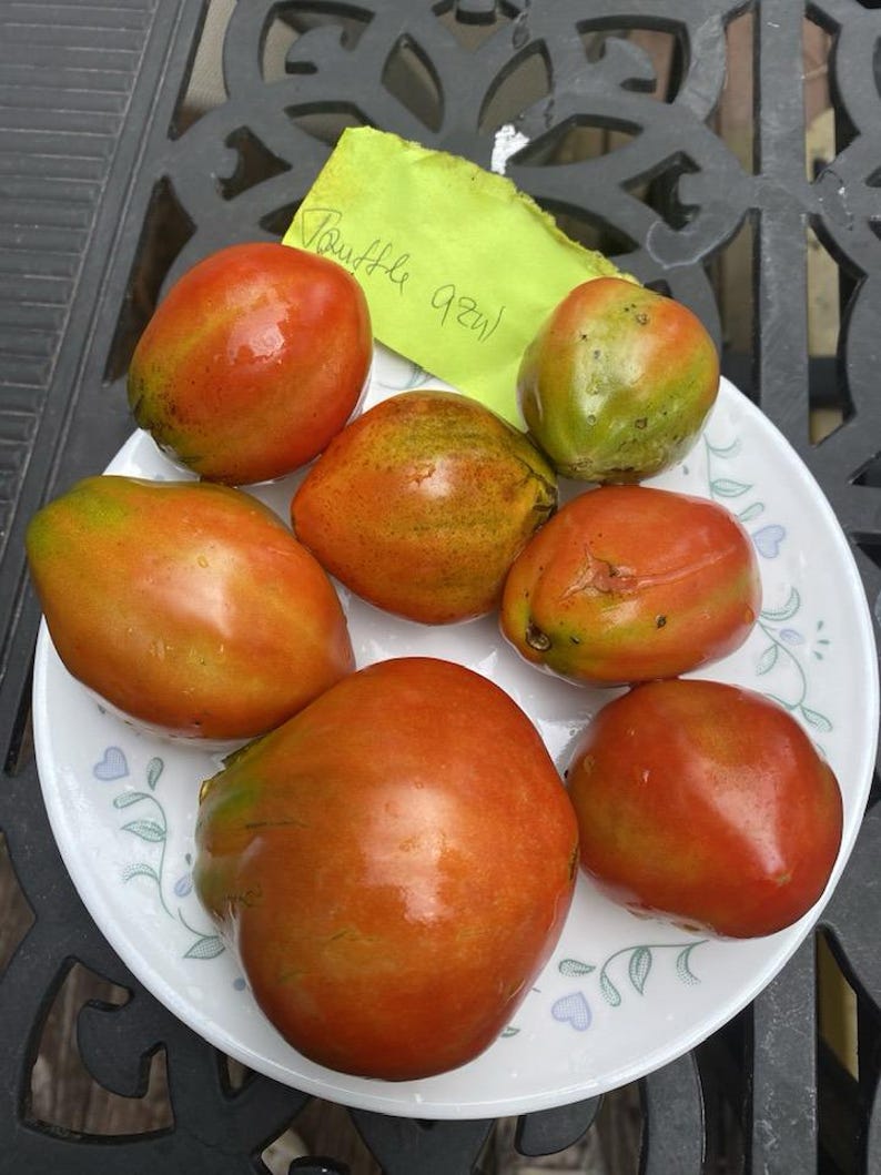 Trufa Azul Tomato Seeds - Etsy