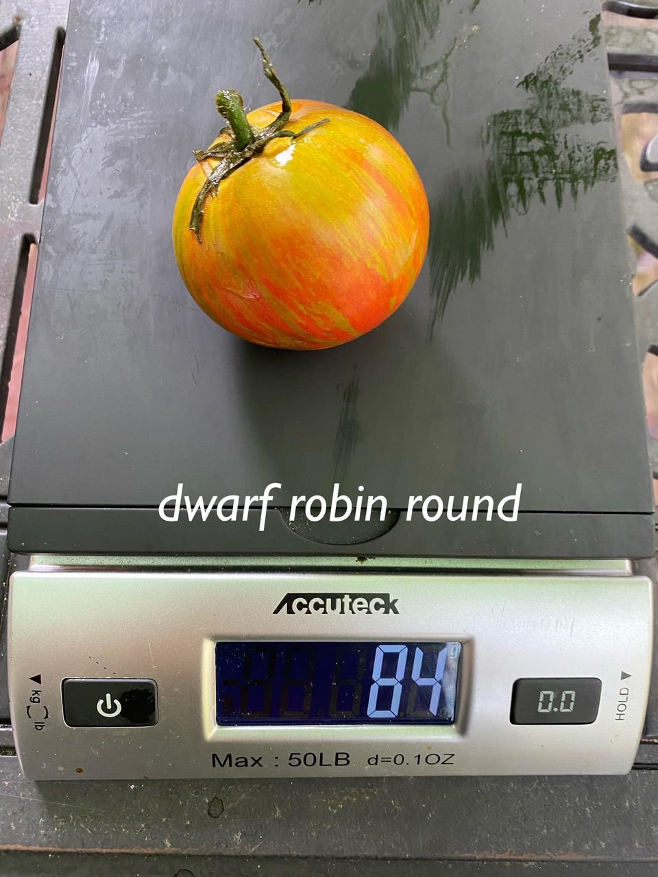 Dwarf Robin Round Tomato Seeds - Etsy