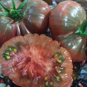 Tim's Black Ruffles Tomato Seeds - Etsy