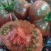 Tim's Black Ruffles Tomato Seeds - Etsy