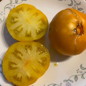 Dwarf Elsie Fancy Tomato Seeds - Etsy