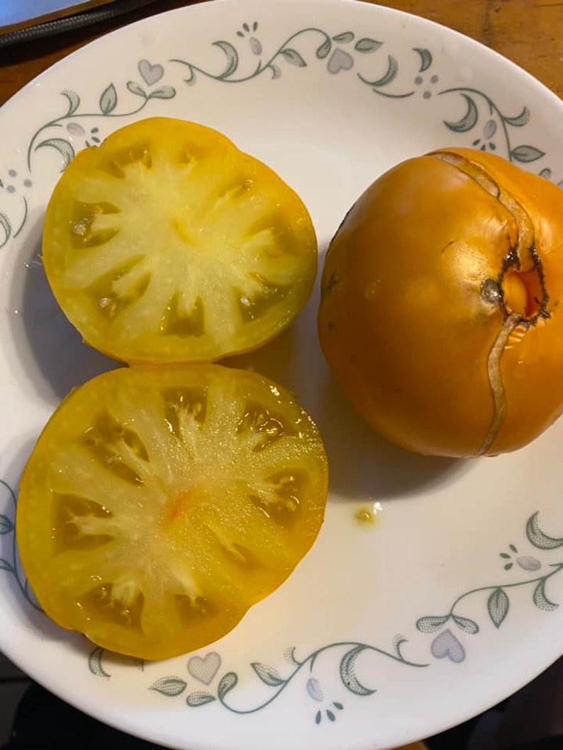 Dwarf Elsie Fancy Tomato Seeds - Etsy