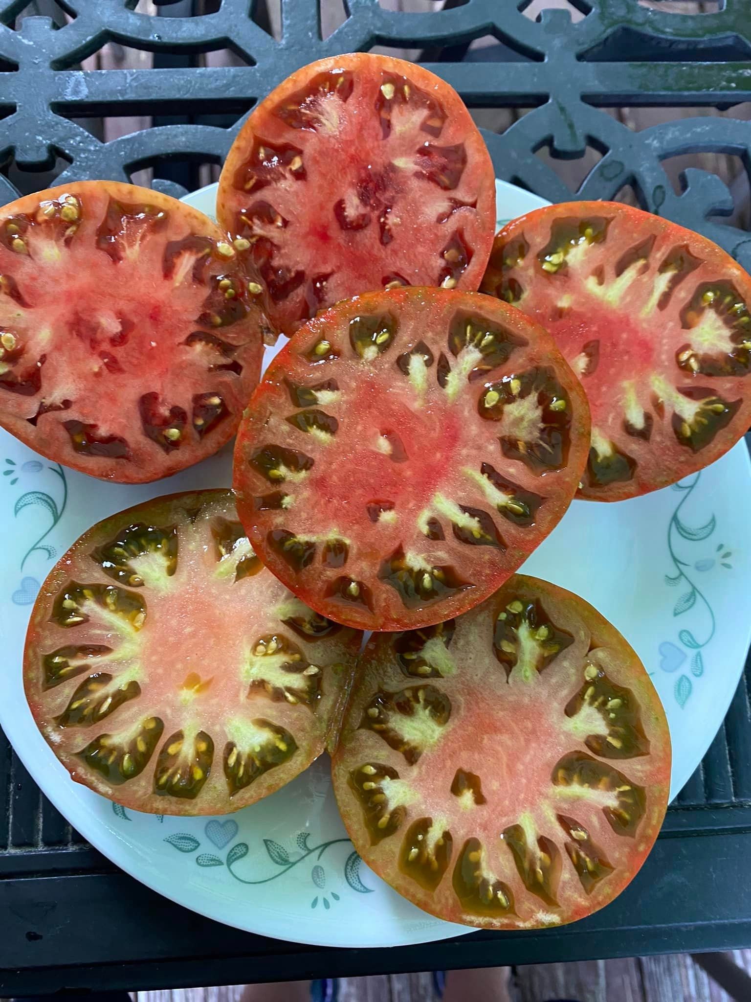 Kozula 125 Tomato Seeds - Etsy