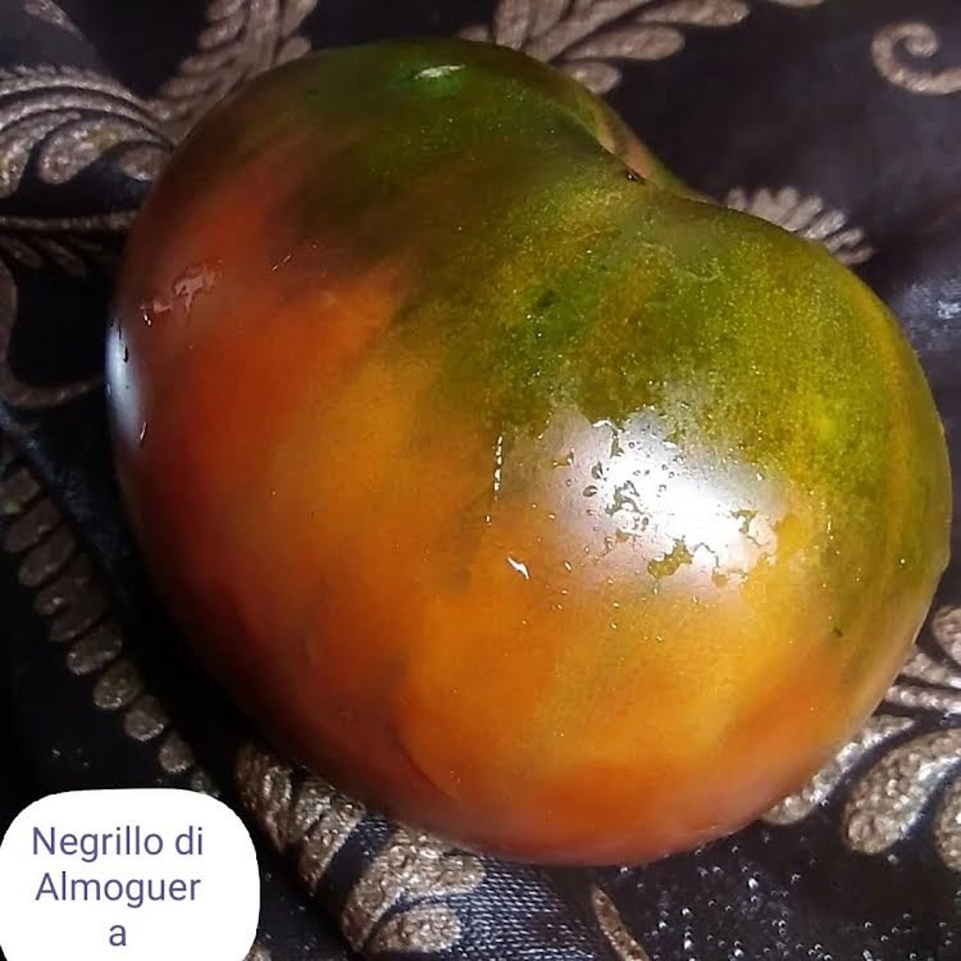 Negrillo De Almoguera Tomatoes Seeds - Etsy