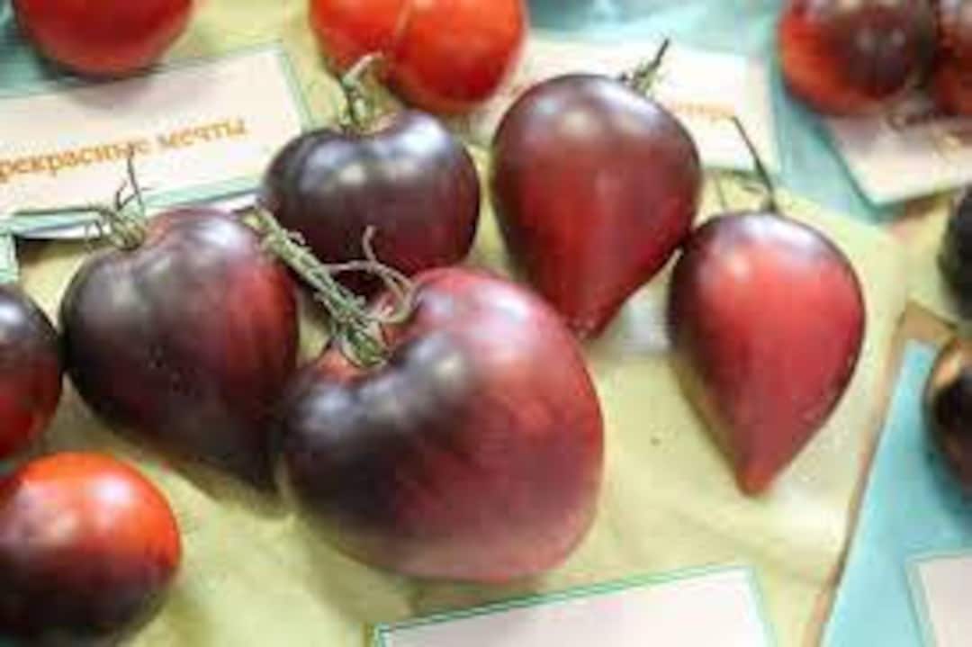 Sgt.strawberry Pepper Tomatoes Seeds - Etsy