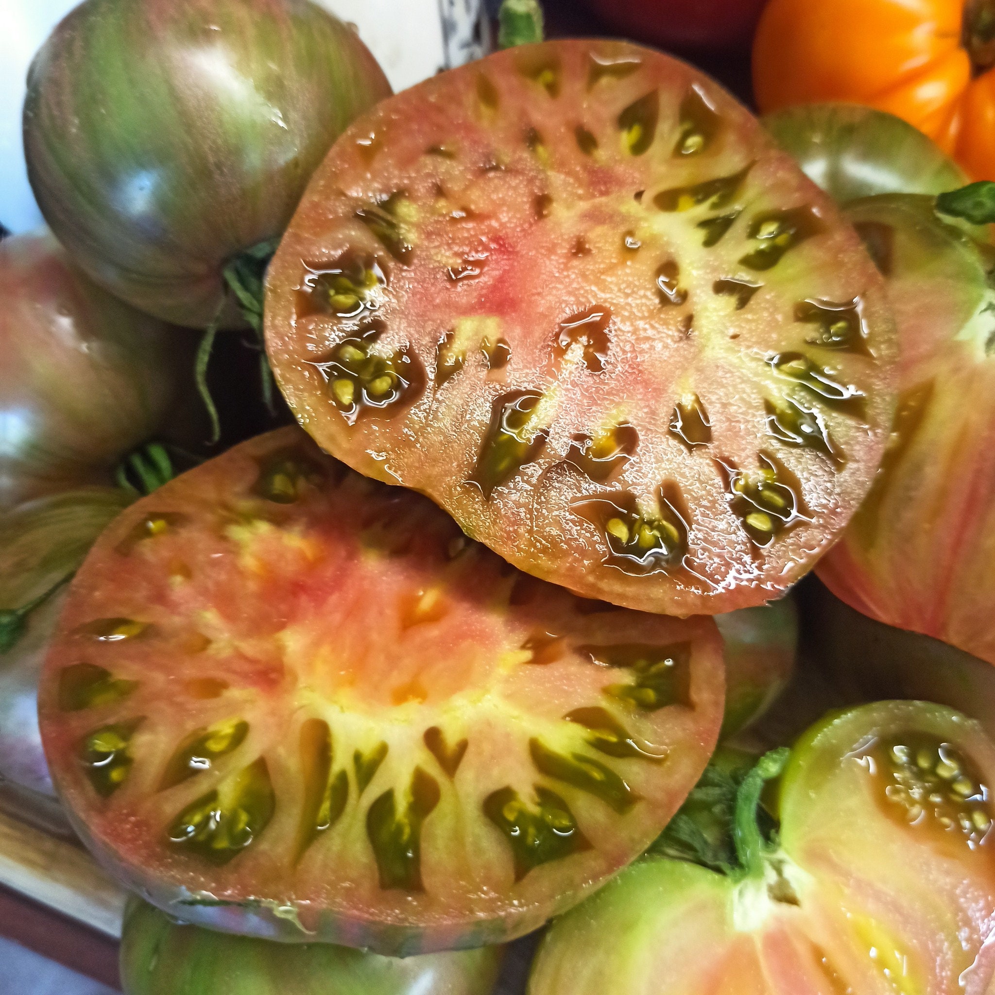 Kozula 24 Tomato Seeds - Etsy