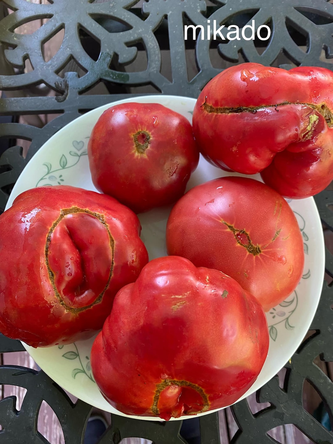 Mikado Pink Tomato Seeds, Early - Etsy